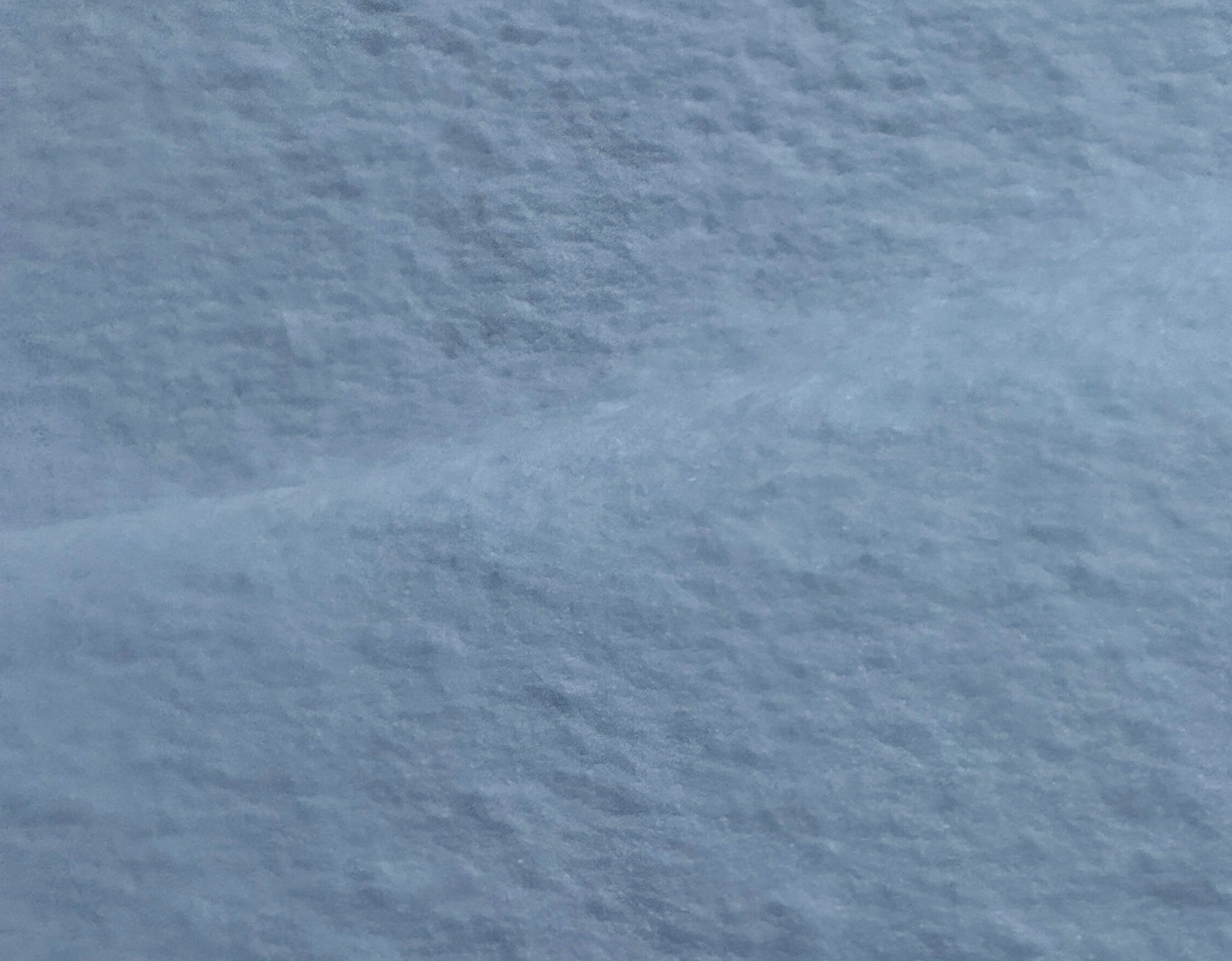 Snow and ice will suffice | bob's brain: living well with a movement ...